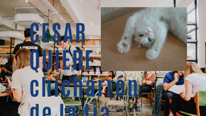 DIA DE LA TIERRA by Edgar Sazo on Prezi Design