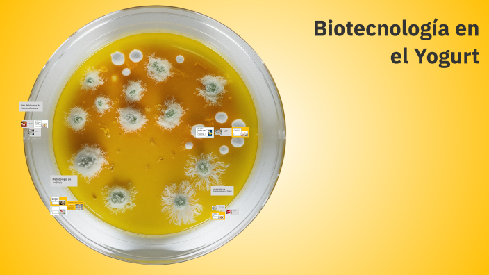 Biotecnología en el Yogurt by HOMERO HERNANDEZ SALGADO on Prezi