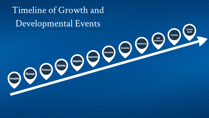 Timeline of Growth and Developmental Events by chace mccoy on Prezi