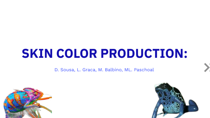 SKIN COLOR PRODUCTION by Marcella Lopes Balbino on Prezi