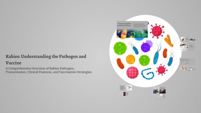 Rabies: Understanding the Pathogen and Vaccine by brianna Duncan on Prezi