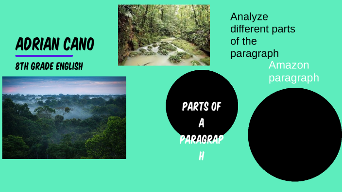 Parts of a paragraph in the forests of the Amazon by Adrian Cano on Prezi