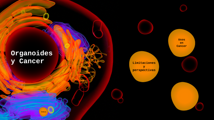 ORGANOIDES Y CANCER by Francisco Expósito Montesinos on Prezi