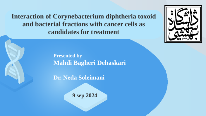 Interaction of Corynebacterium diphtheria toxoid and bacterial ...