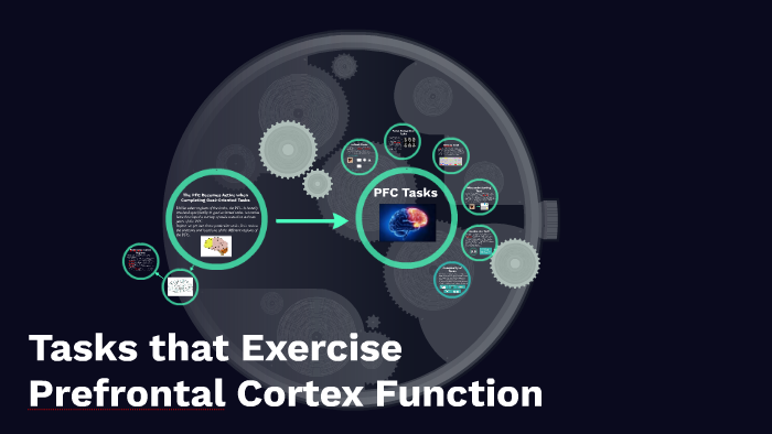 Tasks that Exercise Prefrontal Cortex Function by Kevin Jamison