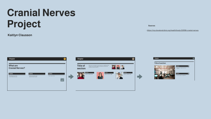 Cranial Nerves Project by Kaitlyn Clausson _ Student - ApexFrien on Prezi