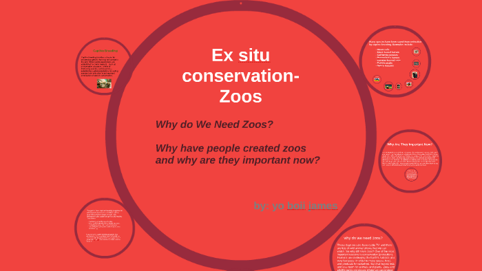 Ex situ conservation- Zoos by james villaceran on Prezi