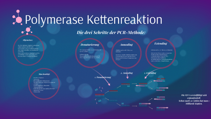Biologie PCR-Methode by Jessy Osoling on Prezi