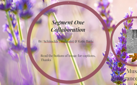 Segment One Collaboration by on Prezi