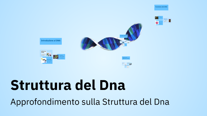 Struttura del Dna by Elvira Abagnale on Prezi