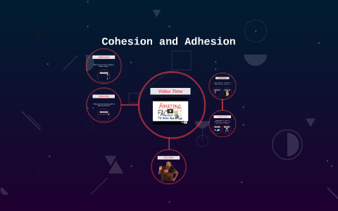 Cohesion and Adhesion by Madison Forrester on Prezi