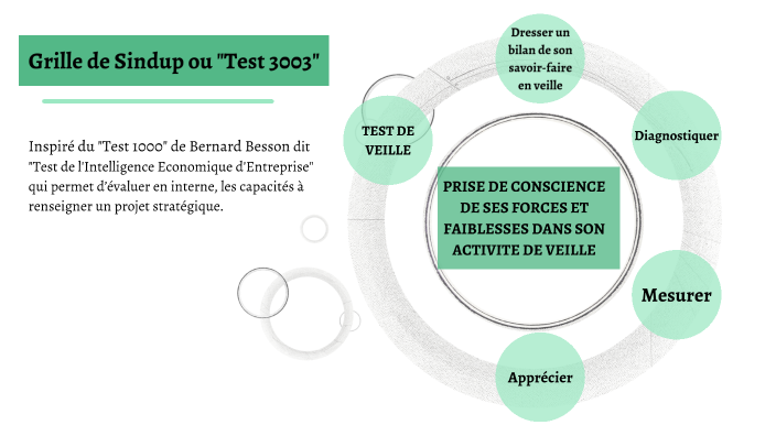 TEST 300 by Hélène Hochart on Prezi