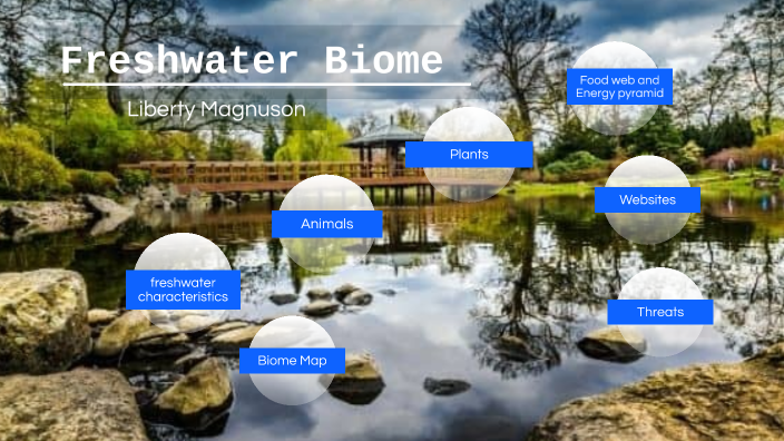 freshwater Biome by LIBERTY MAGNUSON on Prezi