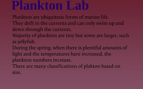 Plankton Lab by Bri Dorr