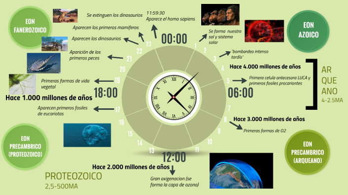 reloj biologico by paulina silva on Prezi
