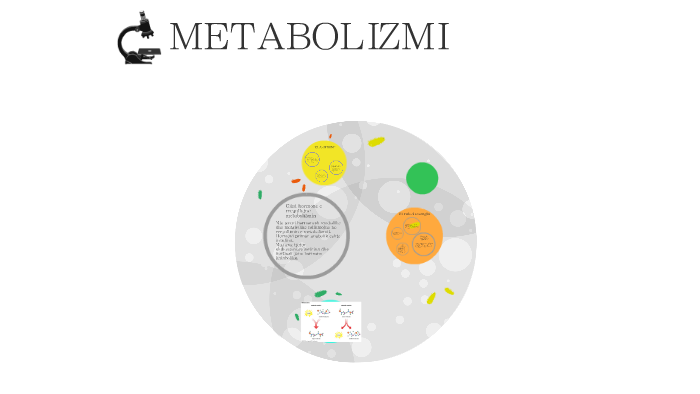 METABOLIZMI by alba shala on Prezi