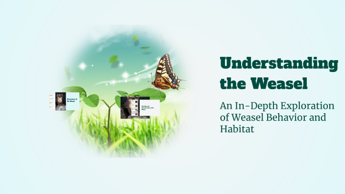 Understanding the Weasel by anne sophie Zwartjes on Prezi