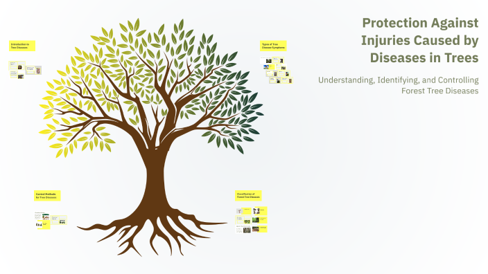 Protection Against Injuries Caused by Diseases in Trees by Praveen ...