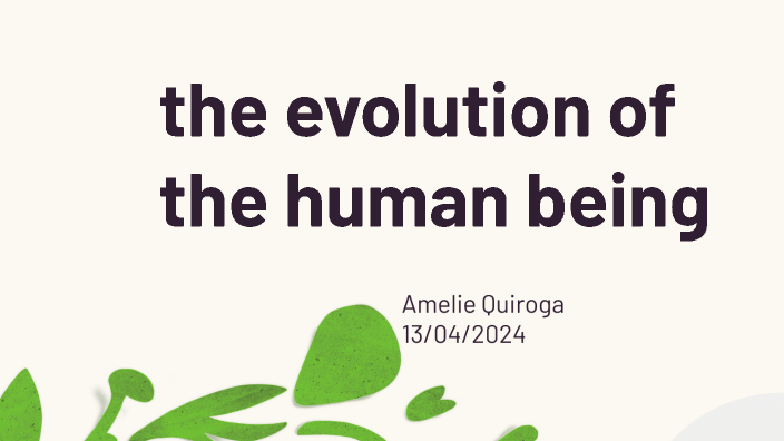 the evolution of the huthe the evolution of the human beingevolution of ...