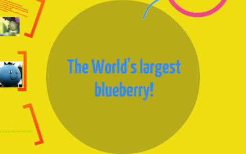 the worlds largest blueberry! by Stephen hou on Prezi