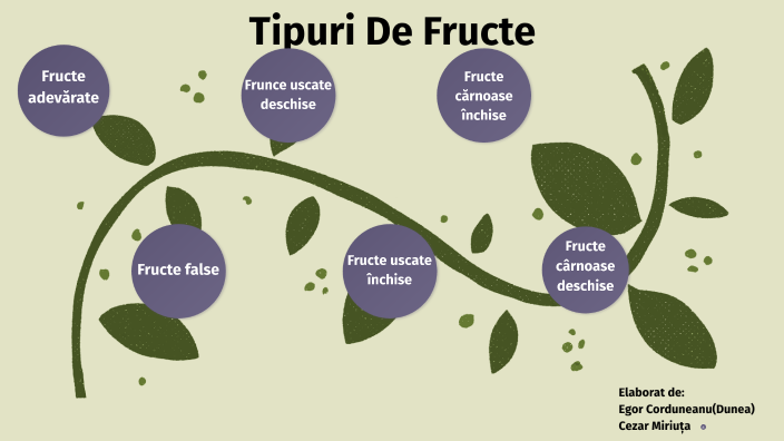 Tipuri de fructe by Egor Corduneanu on Prezi