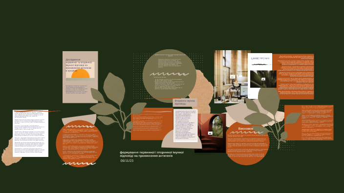 Проект by ewfsd dfsdf on Prezi