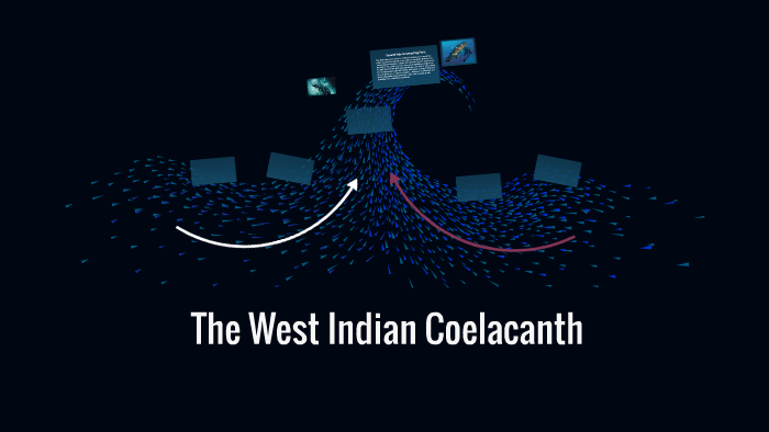 The West Indian Coelacanth by Rory Quinlan on Prezi