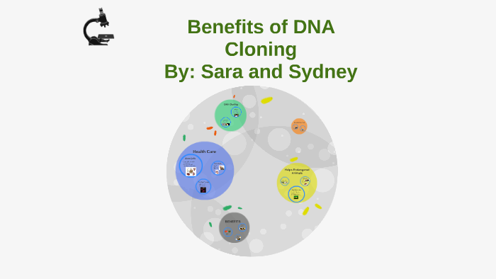 Benefits of DNA Cloning by Sydney T on Prezi