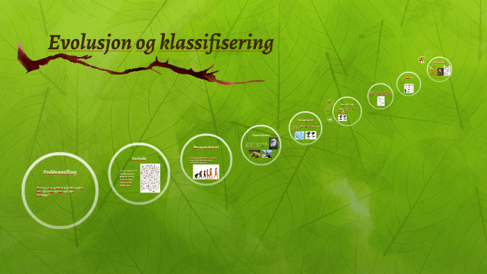 Evolusjon Og Klassifisering By Sofie Skulstad On Prezi