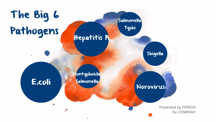The Big 6 Pathogens by Tyler Smith on Prezi