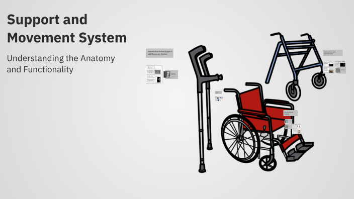 Support and Movement System by fen can on Prezi