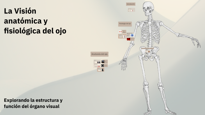 La Visión anatómica y fisiológica del ojo by Sebastián Chaves on Prezi