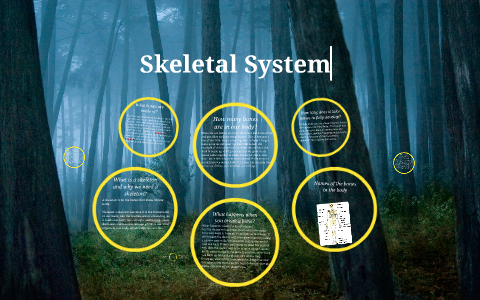 What is a skeleton? by James Keast on Prezi