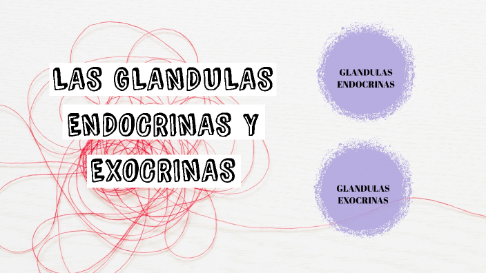 EJEMPLOS DE GLANDULAS ENDOCRINAS Y EXOCRINAS by frank godines on Prezi