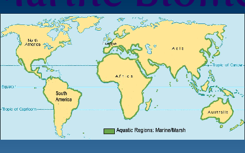marine biome by dominique hemphill on Prezi