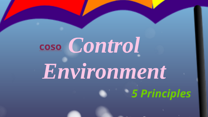 COSO - CONTROL ENVIRONMENT - 5 Principles by Dorel Vargas Hernández on ...