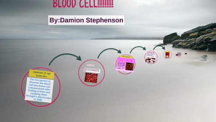 discovery of cell by damion stephenson on Prezi