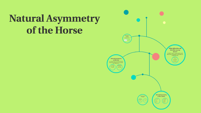 Natural Asymmetry of the Horse by Aanelle Lynham on Prezi