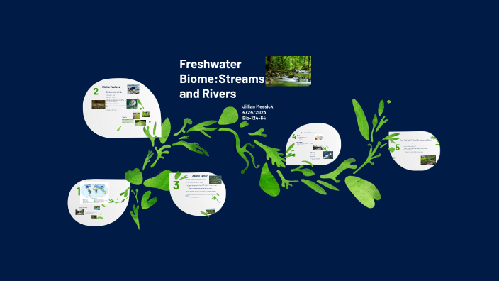 Biome: Streams and rivers by Jillian Messick on Prezi