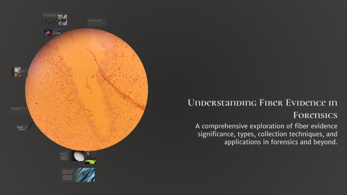 Understanding Fiber Evidence in Forensics by Julio Kadur on Prezi
