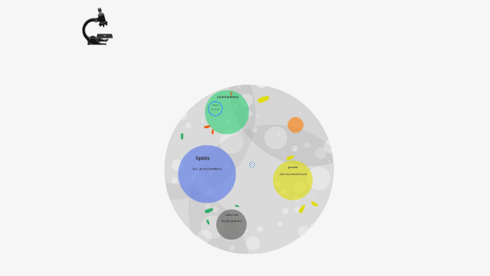 charbohydrates by isaiah ayers on Prezi