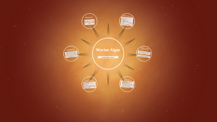 Marine Algae by Maddie Stoddard on Prezi