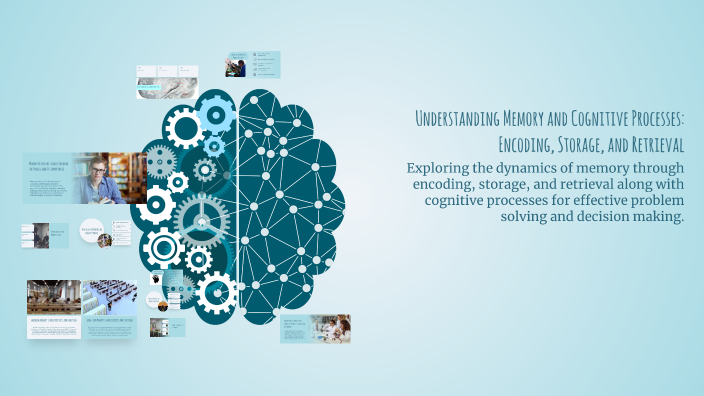Understanding Memory and Cognitive Processes: Encoding, Storage, and ...