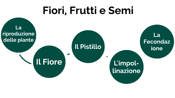 Fiori, Frutti e Semi by Ennio Zohar on Prezi