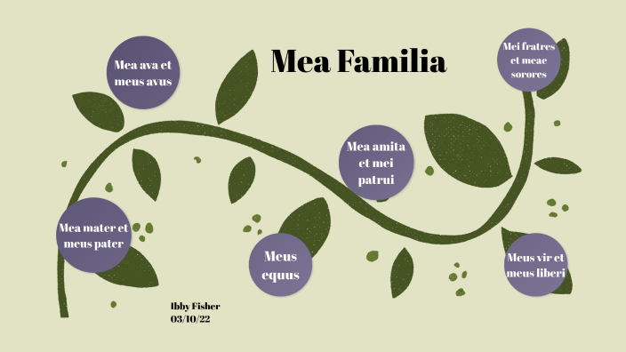 Latin Family Tree by Ibby Fisher on Prezi