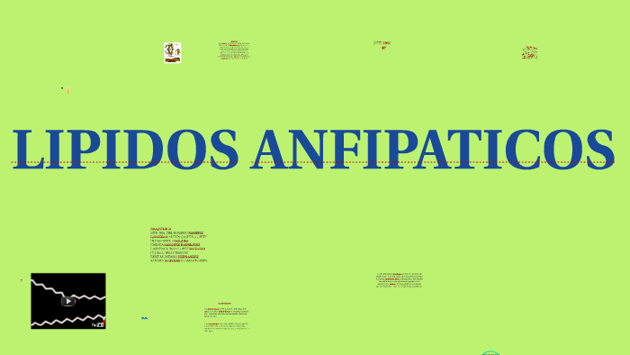 LIPIDOS ANFIPATICOS by Rene Montano Hernandez on Prezi