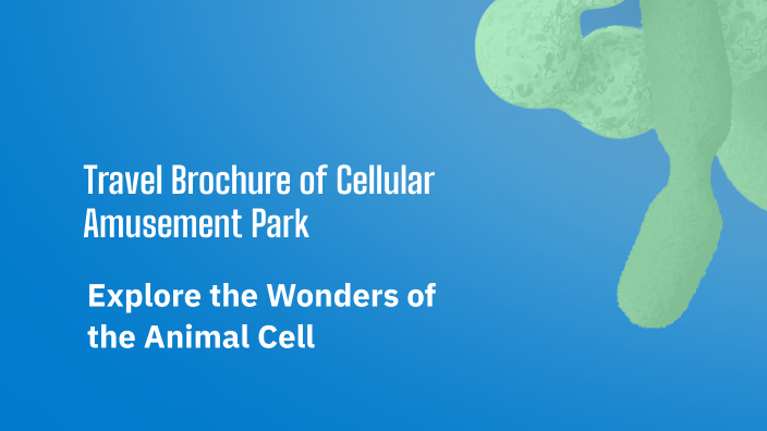 Travel Brochure of Cellular Amusement Park by Phineas Goertz on Prezi
