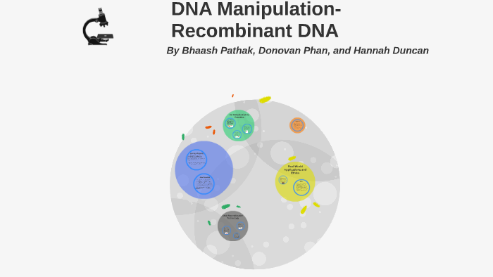 DNA Manipulation-Recombinant DNA by Bhaash Pathak on Prezi