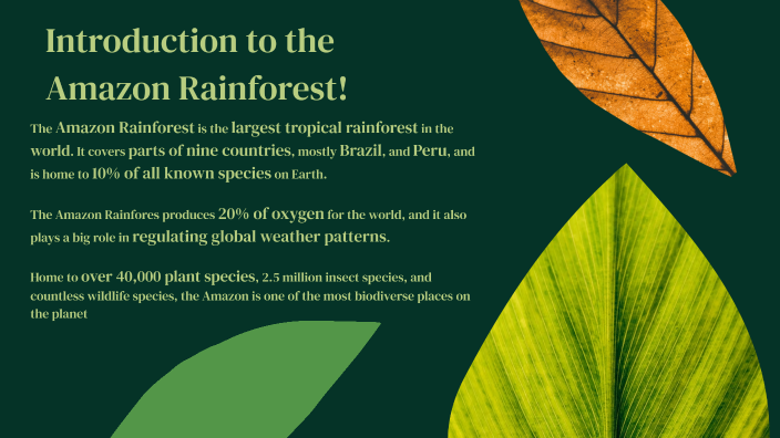 The Amazon rainforest covers 6.7 million square kilometers. It serves ...