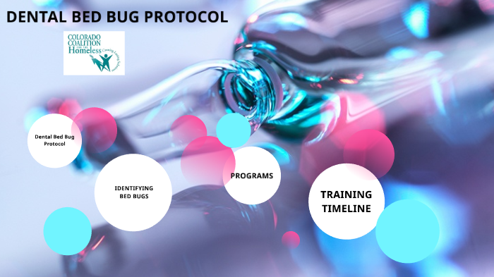 Dental Bed Bug Protocol by Allison Kapple on Prezi